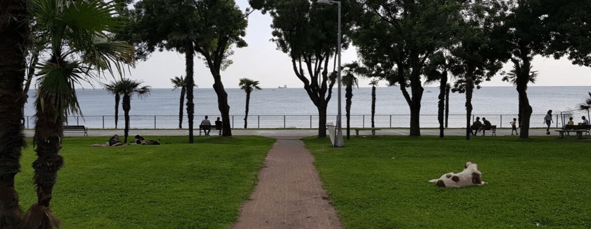 Florya ve Yeşilköy Sahil Parkı | 365 Gün